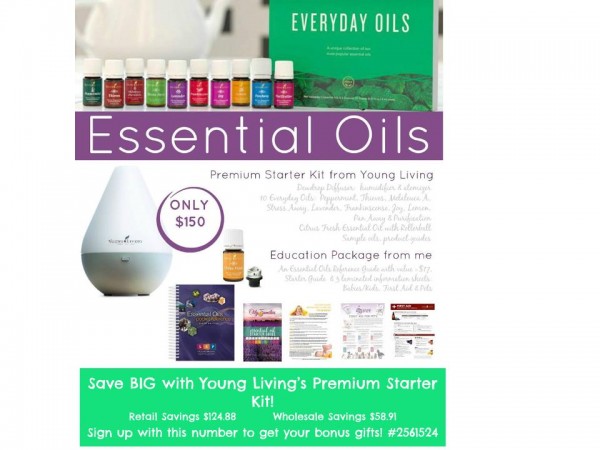 Yl Starter Kit Mommies With Cents